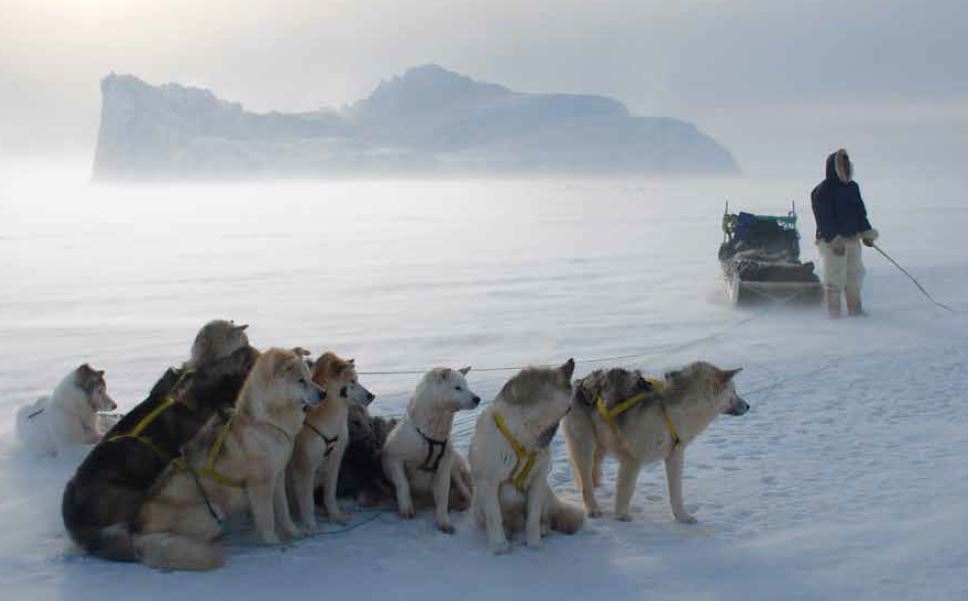 ouii-2 - Le Blog Planète Croisière